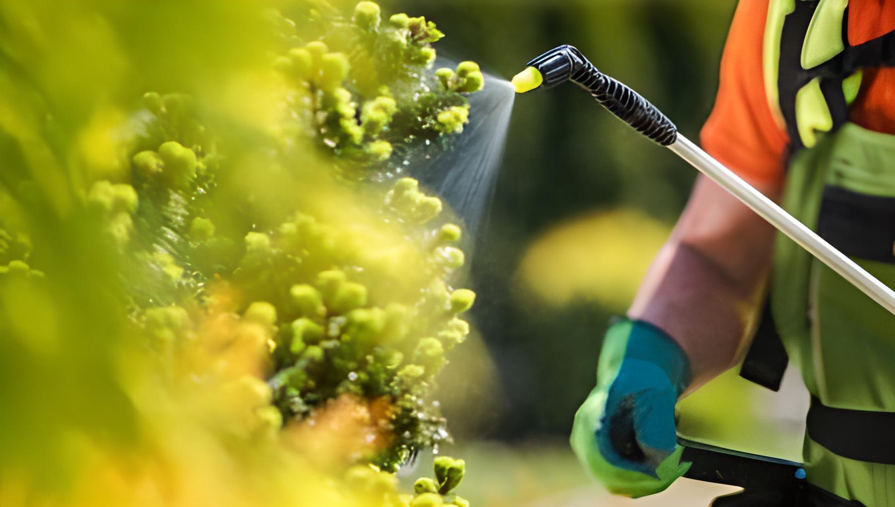 Perenne | CaC integrador